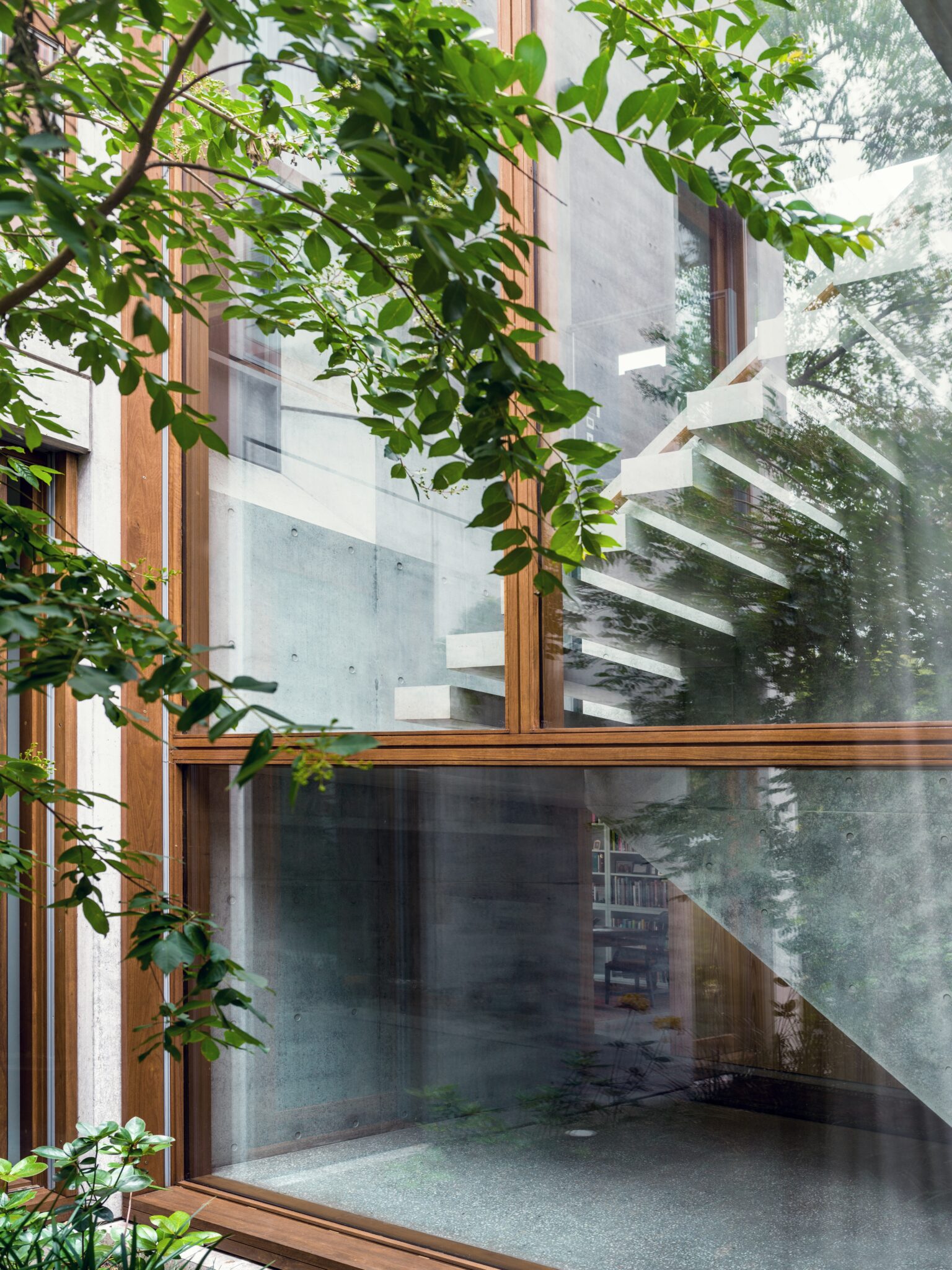 TREETOPS HOUSE, WOOLLAHRA | Bellevarde